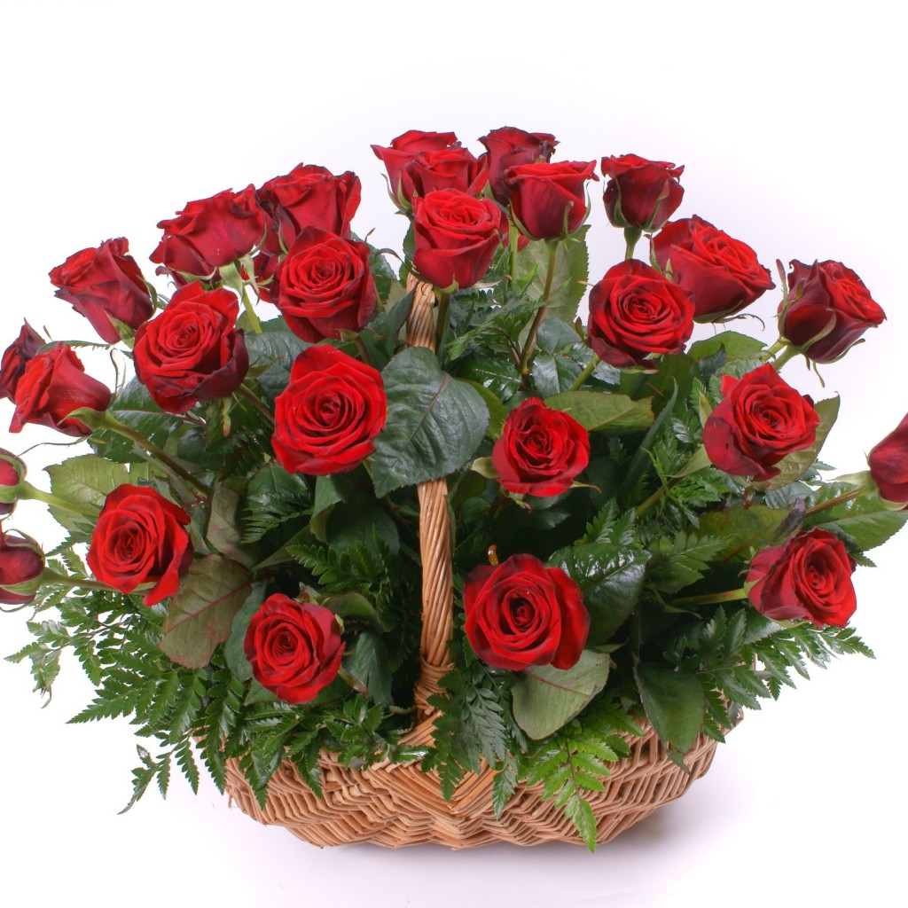 Birthday Flowers Online Order Hyderabad, Ultimate Red Roses, Flowers To ...